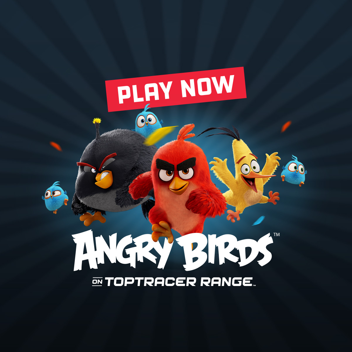 Forest Driving Range, Driving Range & Trackman Simulator